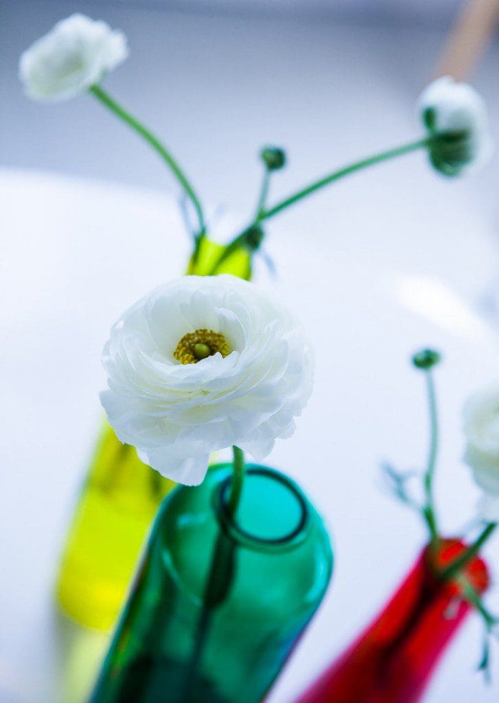 Karin Mannerstål - Villalivet