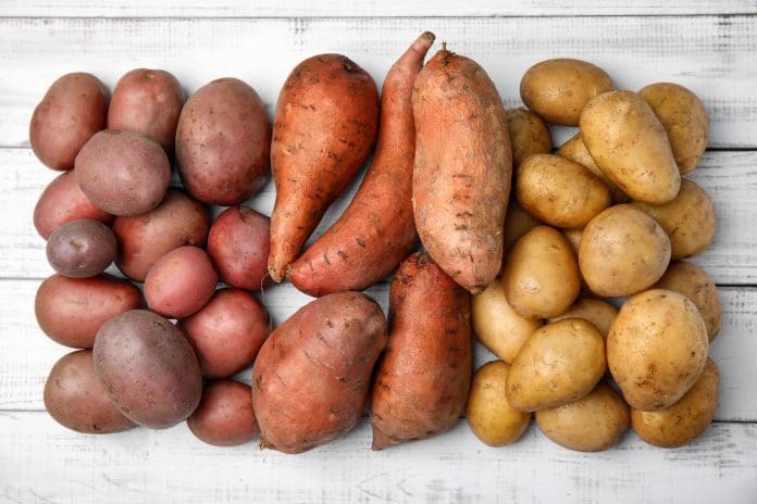 Odla potatis - Experttips och råd för en riklig skörd