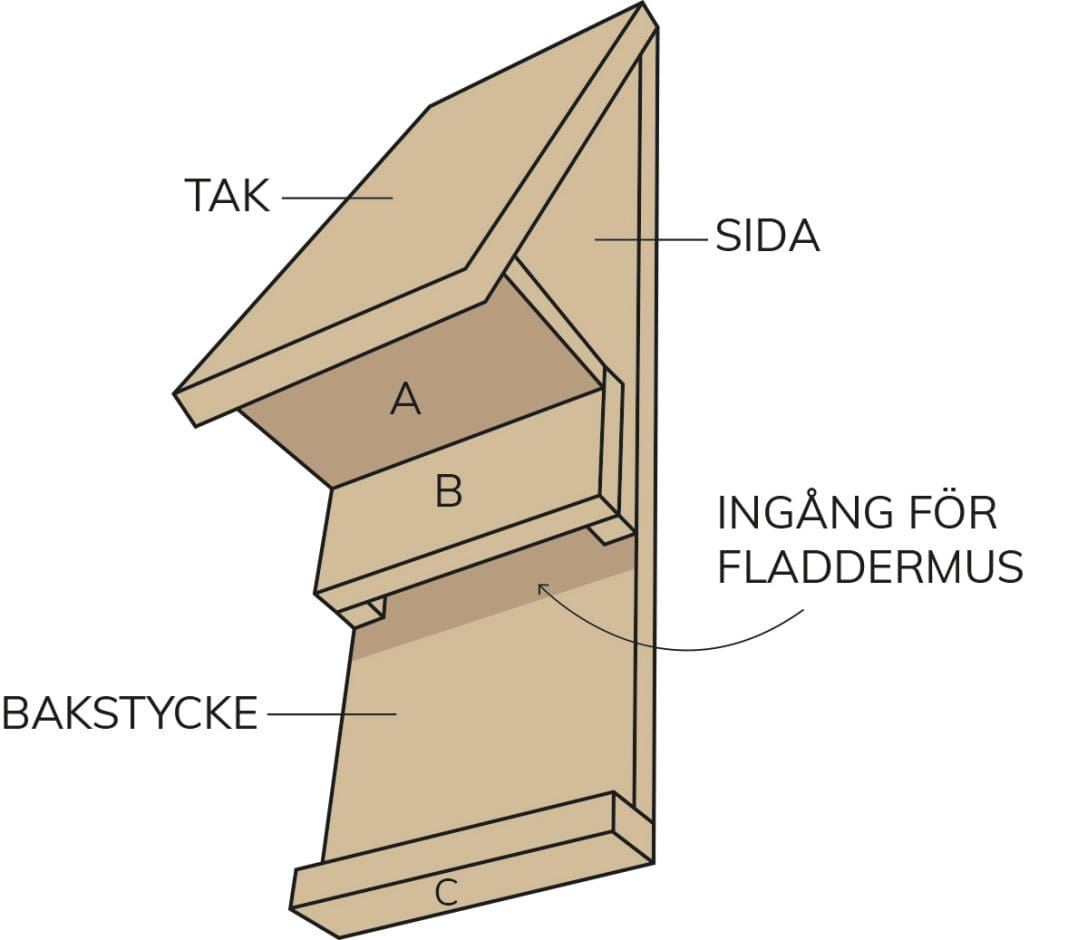 Fladdermusholk: Bygg egen med enkel guide - Villalivet